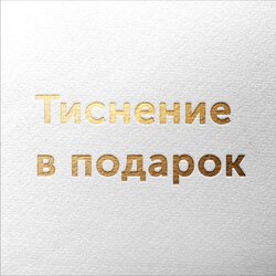 Дарим Вам тиснение! - logoton.by